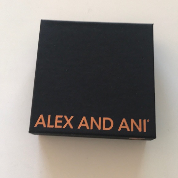 Alex and Ani | Accessories | Alex And Ani Box | Poshmark